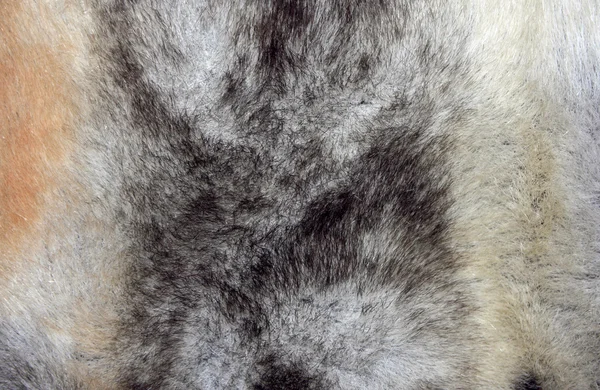 Fur fabric texture closeup - Stock Image - Everypixel