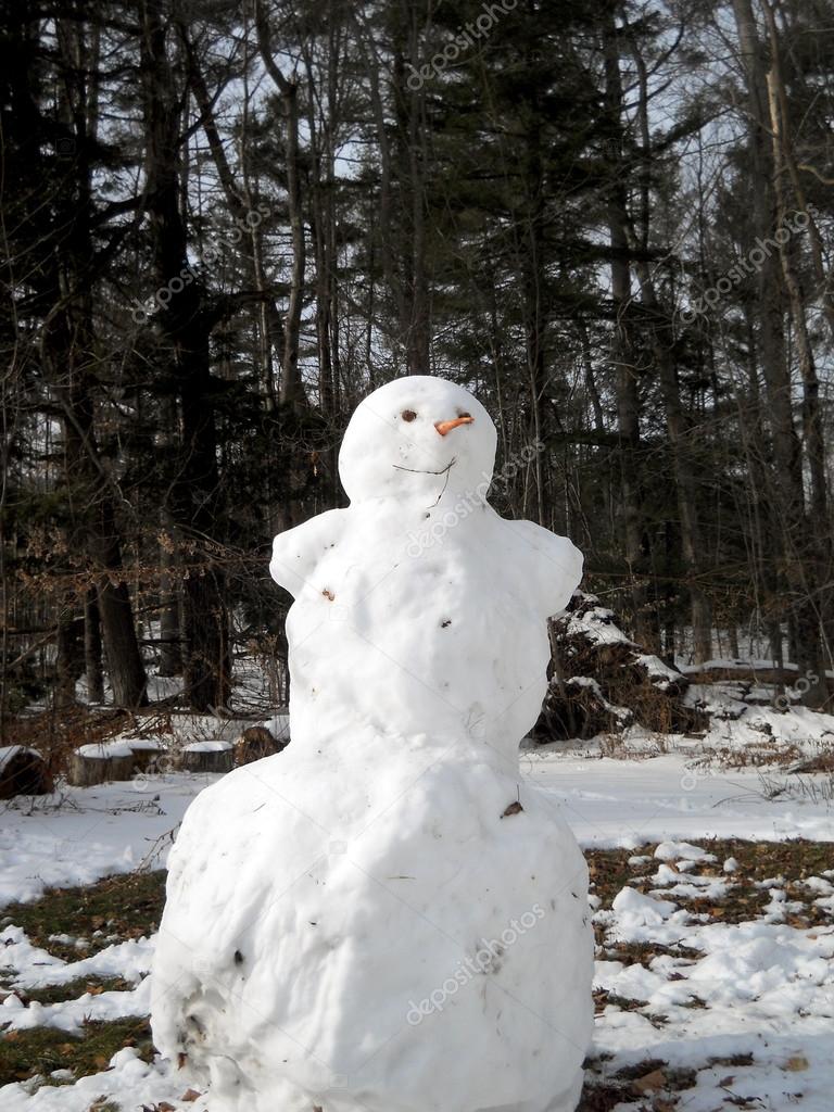 Real Melting Snowman