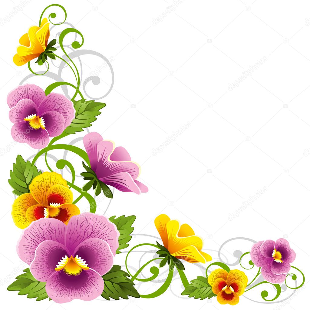 Pansy — Stock Vector © Pazhyna #16785367