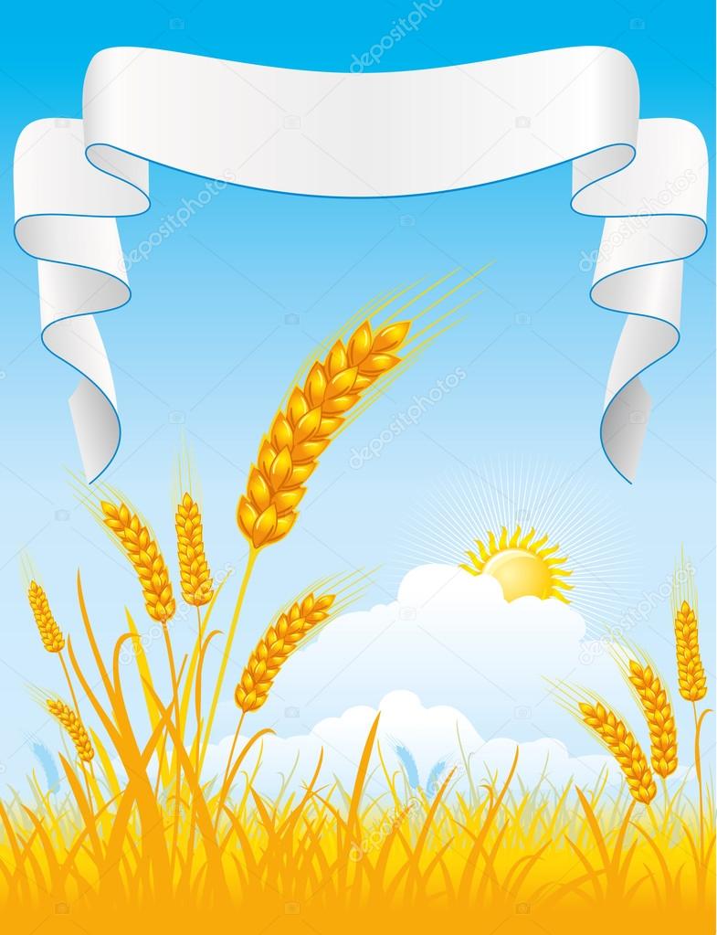 Rich harvest of wheat — Stock Vector © Pazhyna #16786739