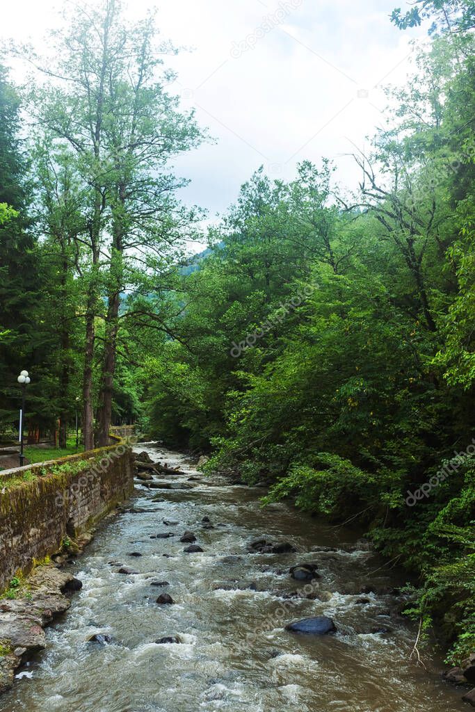 Un río en un parque en la ciudad de Borjomi en Georgia. Río de montaña ...