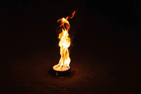 Tea fotos de stock, imágenes de Tea sin royalties | Depositphotos