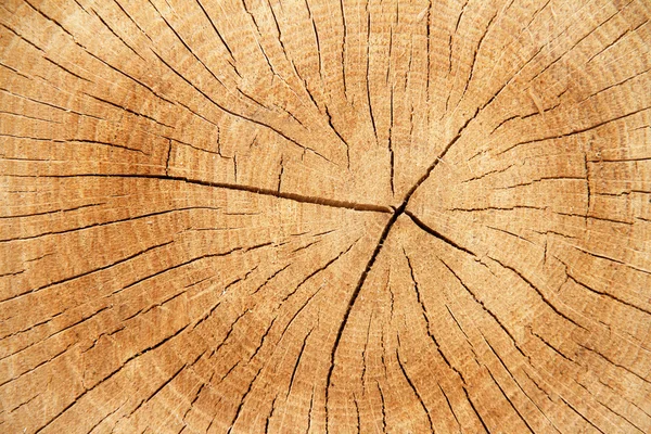 Wood framing Stock Photos, Royalty Free Wood framing Images | Depositphotos