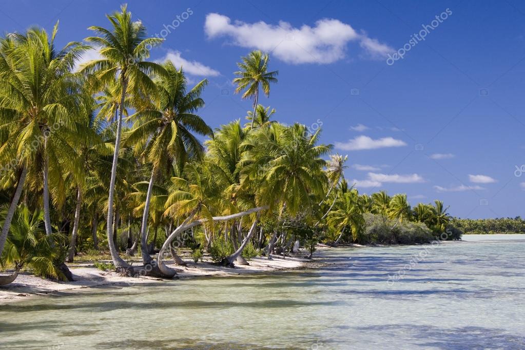 Cook Islands Pacific Ocean