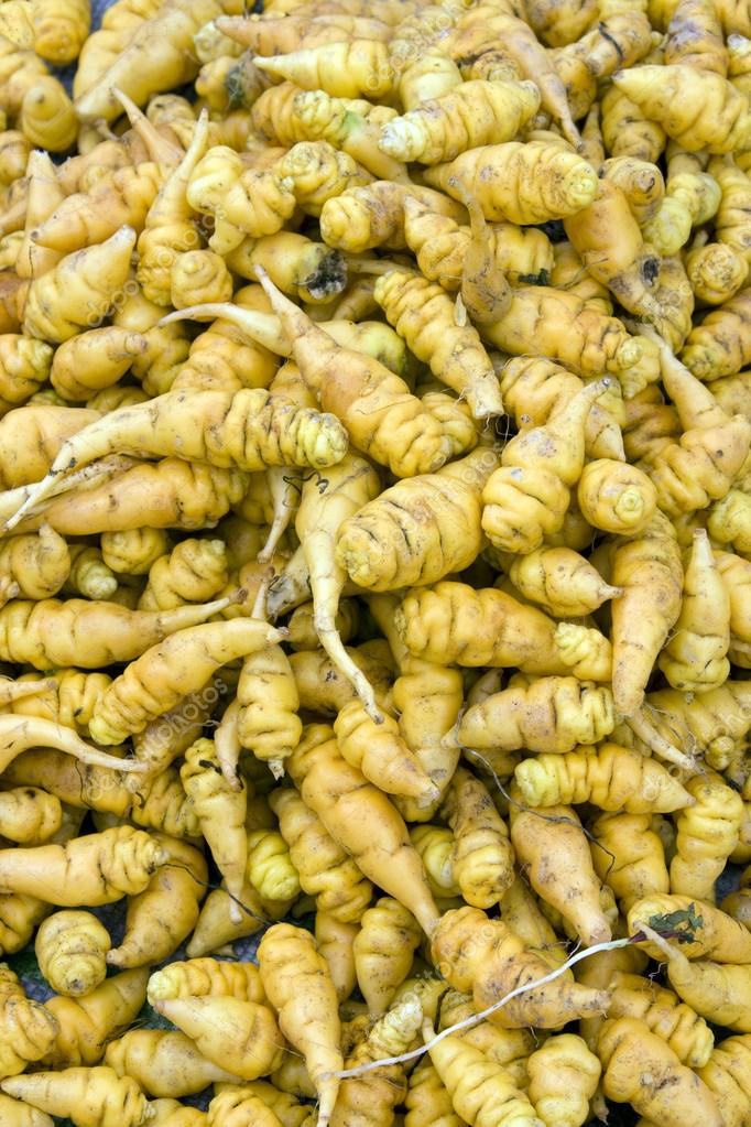 Vegetales sudamericano - mashua — Foto de stock © Steve_Allen #17686907