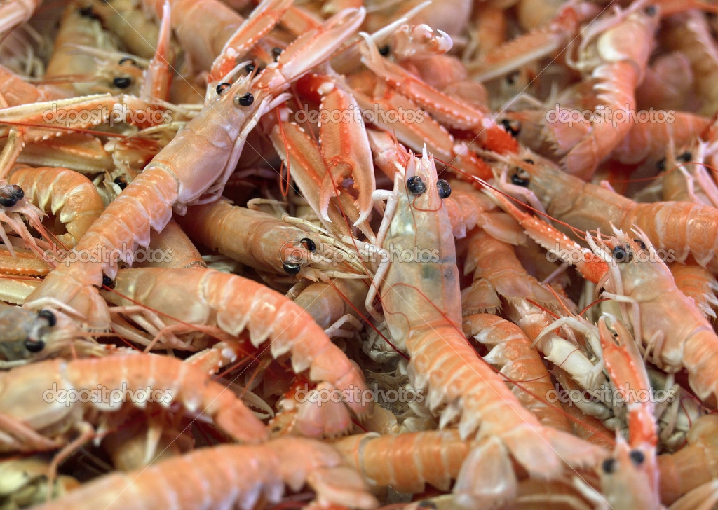 Crayfish on a market stall Stock Photo by ©Steve_Allen 18298429