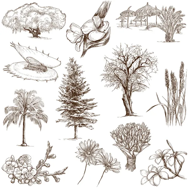 Tree line art Stock Photos, Royalty Free Tree line art Images ...