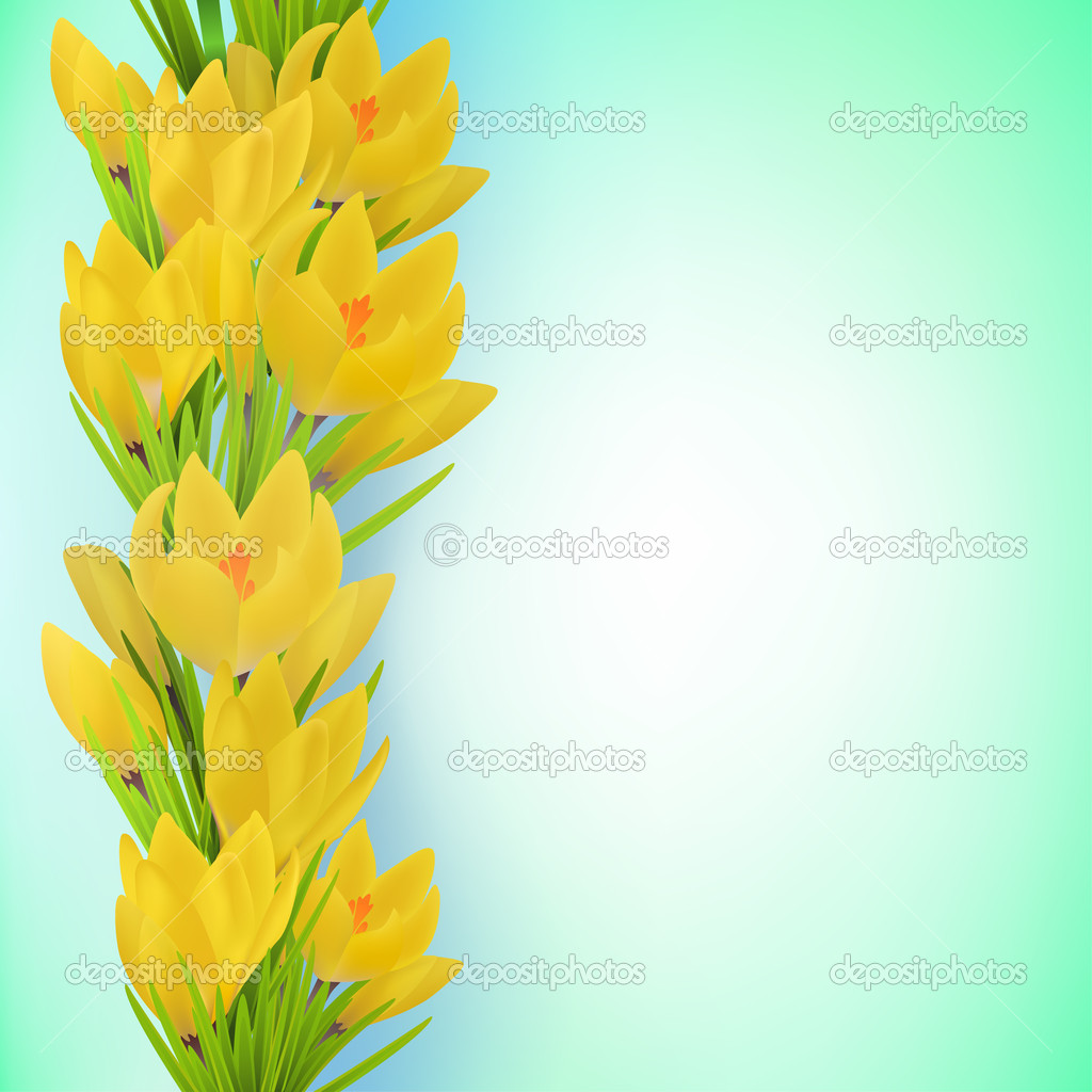 Spring card with yellow crocus border Stock Vector Image by ©0mela ...