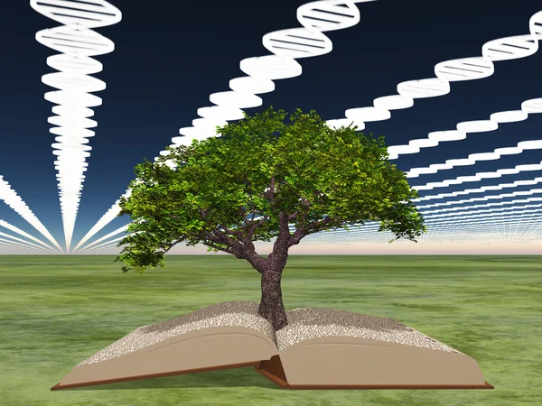 Book with tree Stock Photo by ©rolffimages 29425367