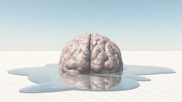 Hot brain Stock Photos, Royalty Free Hot brain Images | Depositphotos