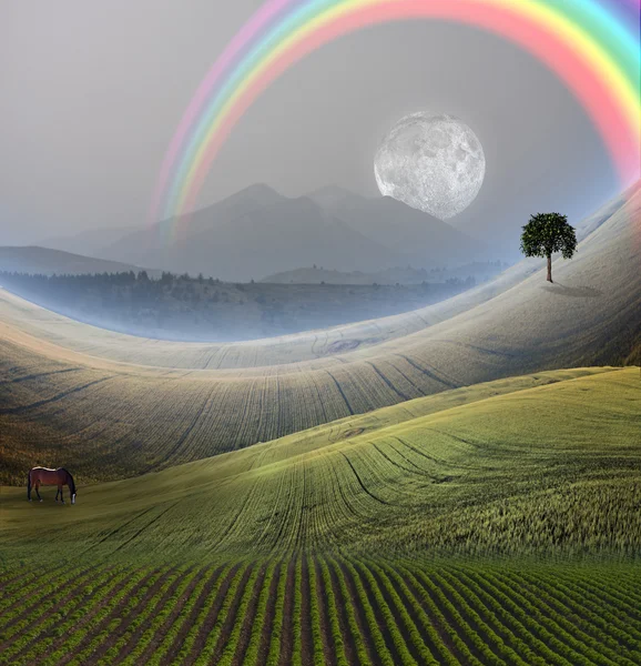 Peaceful Stock Photos, Royalty Free Peaceful Images | Depositphotos