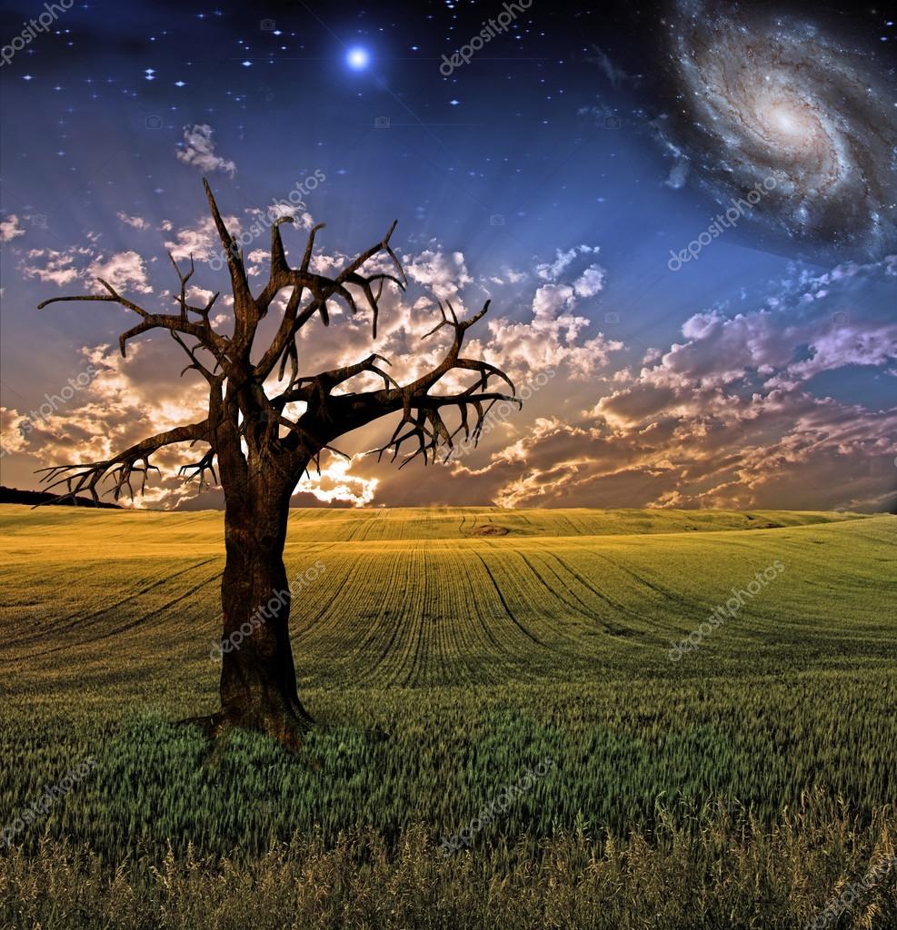 Surreal Field Stock Photo by ©rlffimageso 29433129