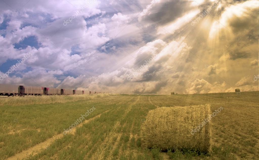 Train and field with hay Stock Photo by ©rlffimageso 29492415