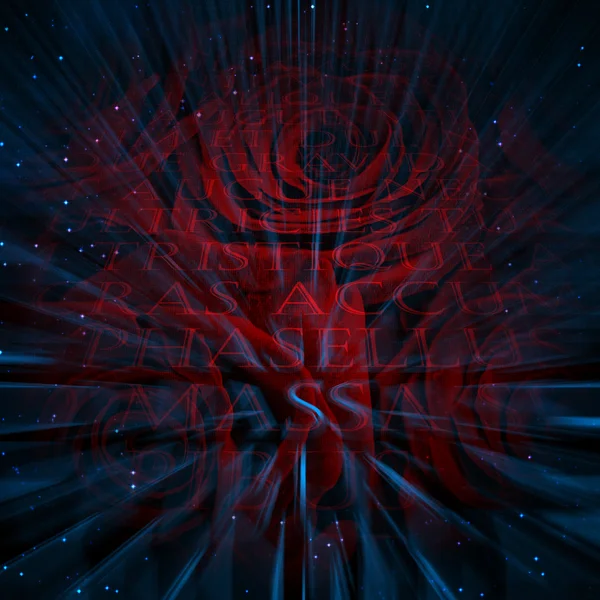 Latin Roses Stock Photo by ©rlffimageso 29484241