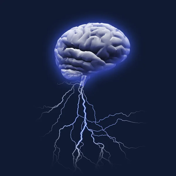 Human brain — Stock Photo © nicunickie1 #23347960