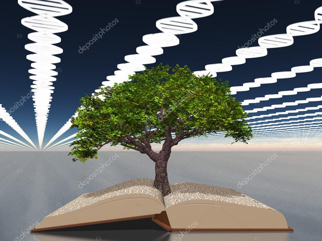 Images: the book of life in heaven | Book of life with tree of life ...
