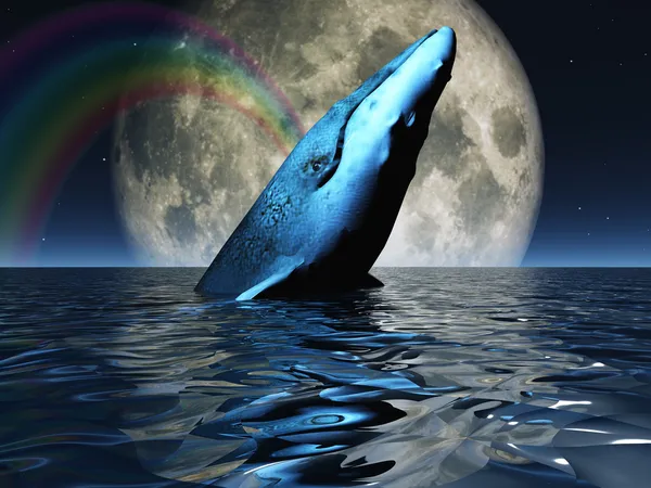 Whale Oceans Surface Full Moon Stock Photo by ©rlffimageso 206230594