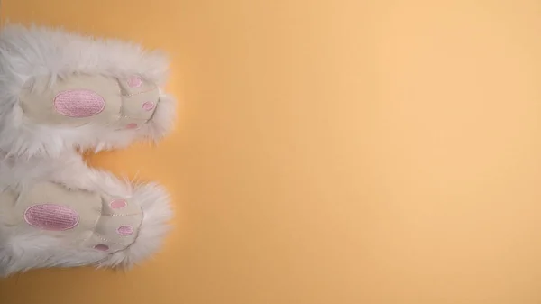 Plyšové zvíře stock fotografie, royalty free Plyšové zvíře obrázky ...