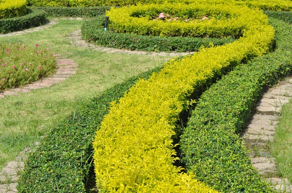 Maze hedges Stock Photo by ©nelsonart 2185135