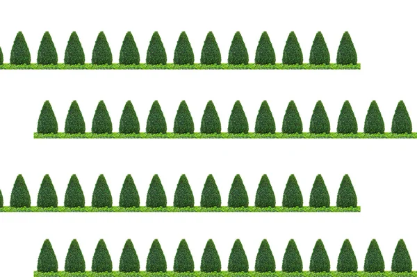 Tree plot Stock Photos, Royalty Free Tree plot Images | Depositphotos