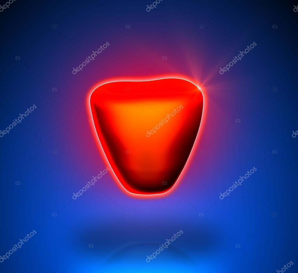 Prostate - Internal organs - blue background Stock Photo by ©decade3d ...