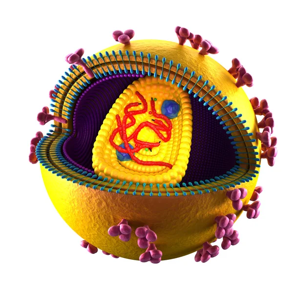 Red virus Stock Photos, Royalty Free Red virus Images | Depositphotos®