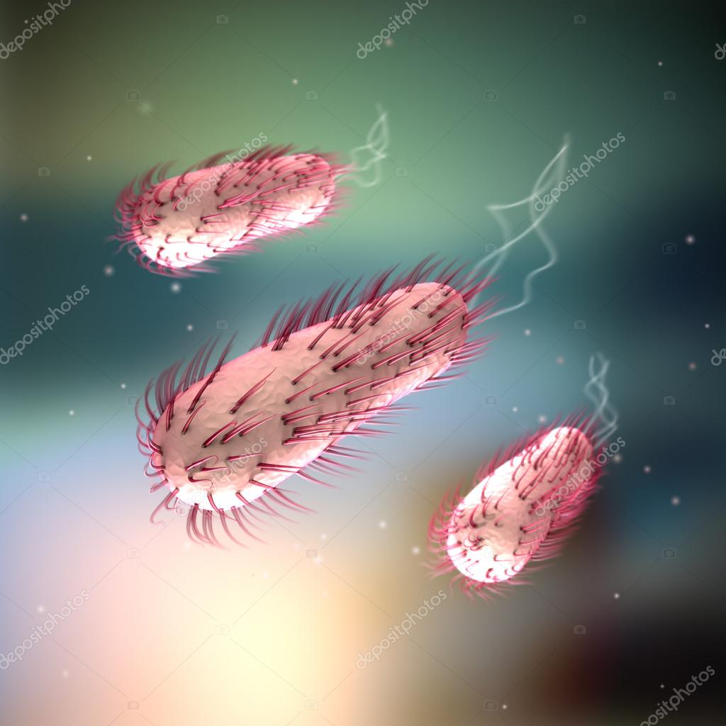 E.coli - Escherichia coli Stock Photo by ©decade3d 50495779