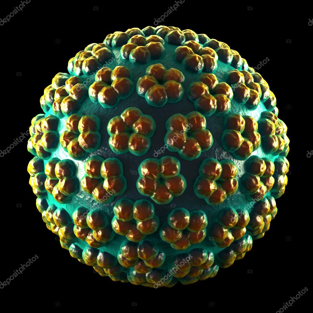 Hpv Virus Microscope