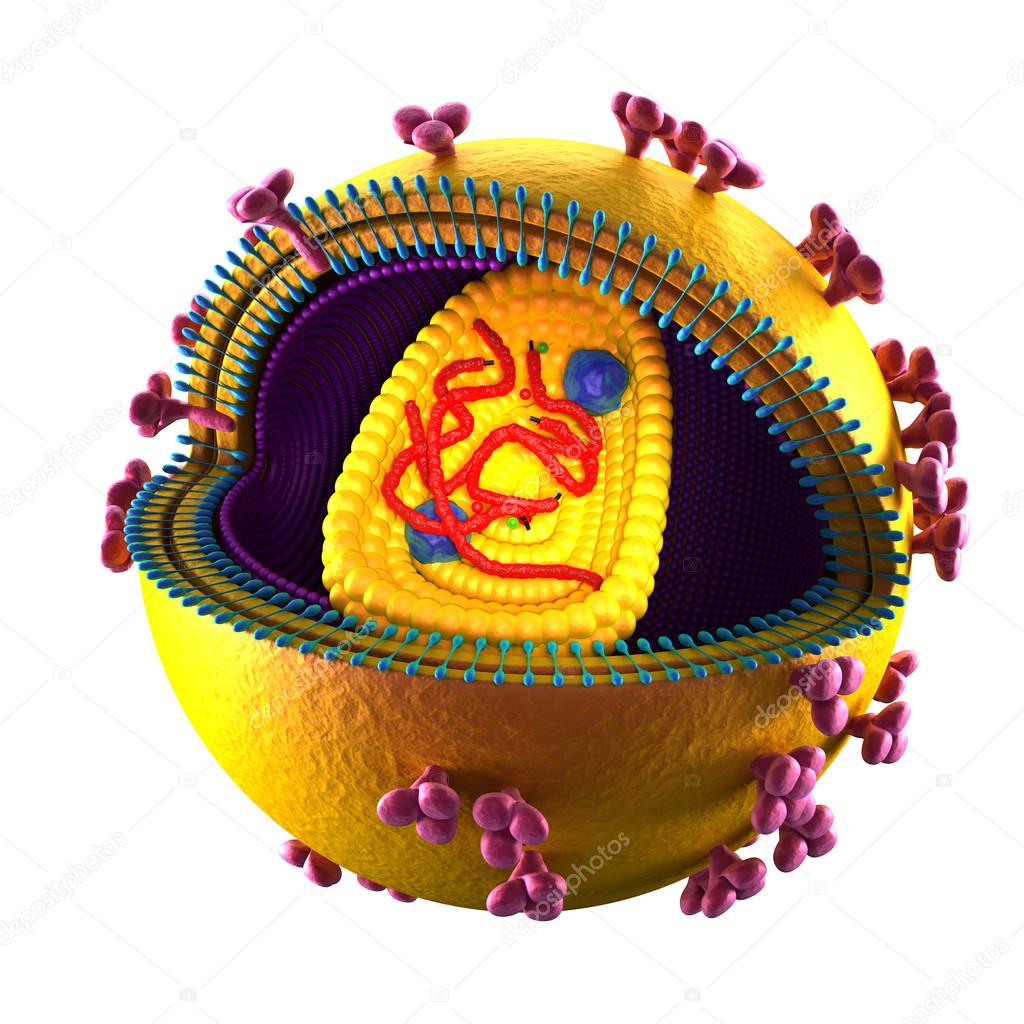 HIV Cell - isolated on white — Stock Photo © decade3d #50497821
