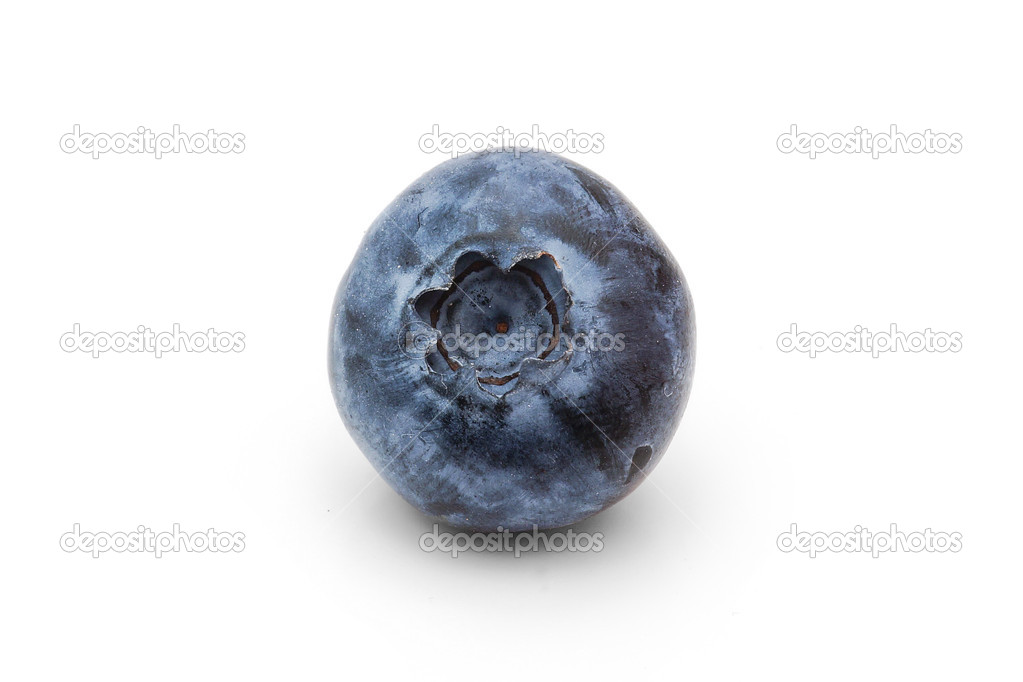 Single Blueberry