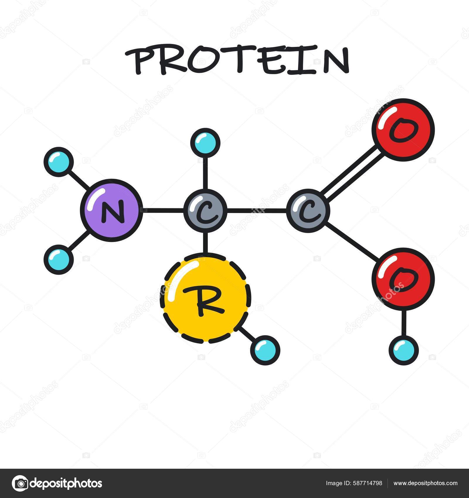 Vector Science Icon Protein Molecule Stock Illustration Protein ...