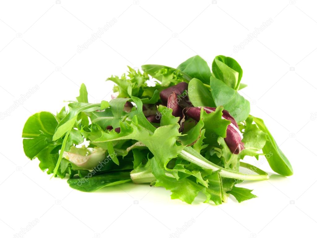 Ensalada de rúcula, frisee, radicchio, lechuga de cordero 2022