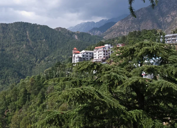 Dharamsala Stock Photos, Royalty Free Dharamsala Images | Depositphotos®