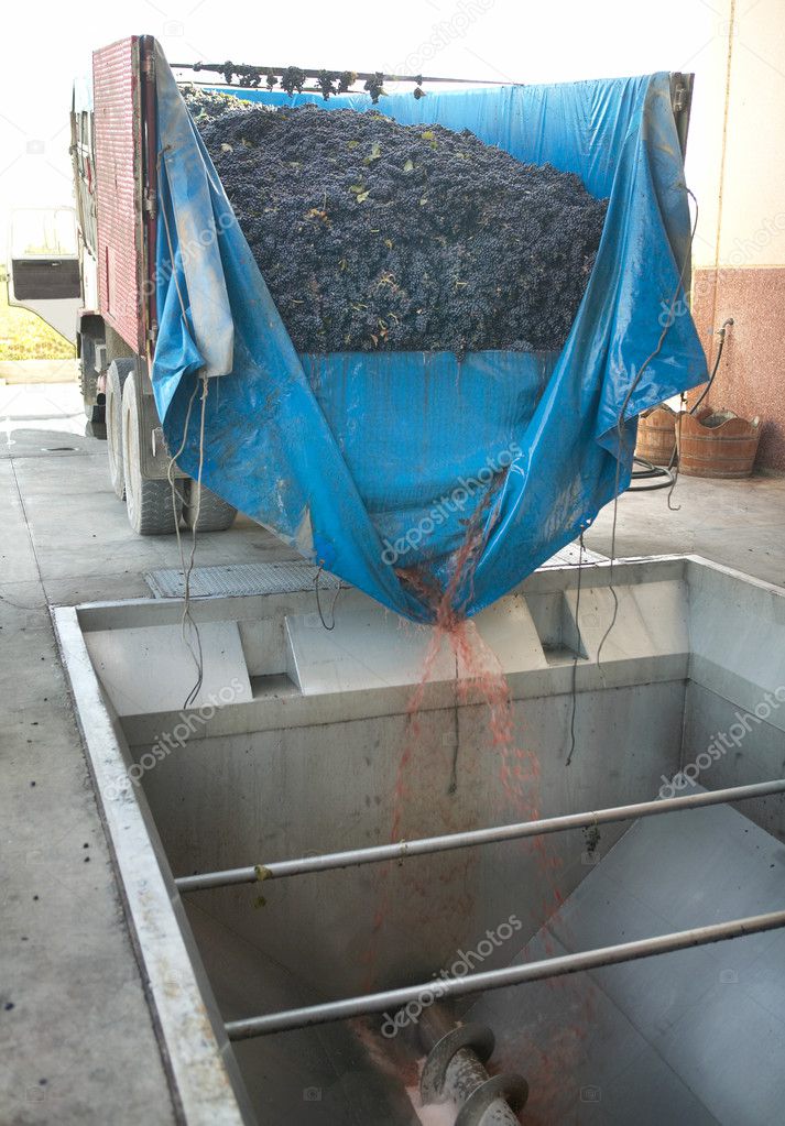 Grape harvester truck — Stock Photo © ABBPhoto #25294795