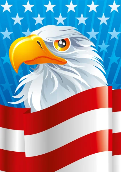Symbol of USA Stock Vector Image by ©figura13 #24698055