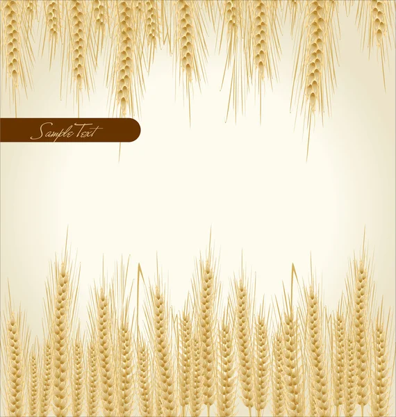 100,000 Wheat background Vector Images | Depositphotos
