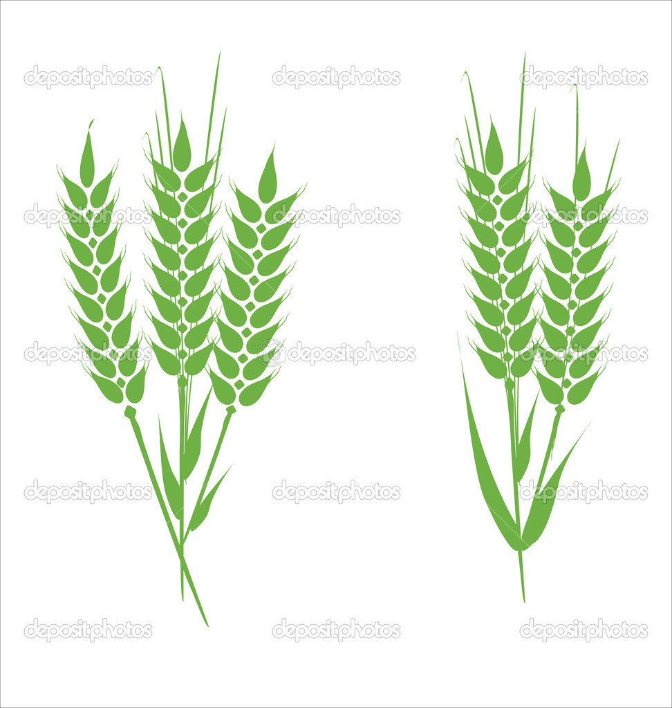 Wheat design — Stock Vector © totallyout #46279725