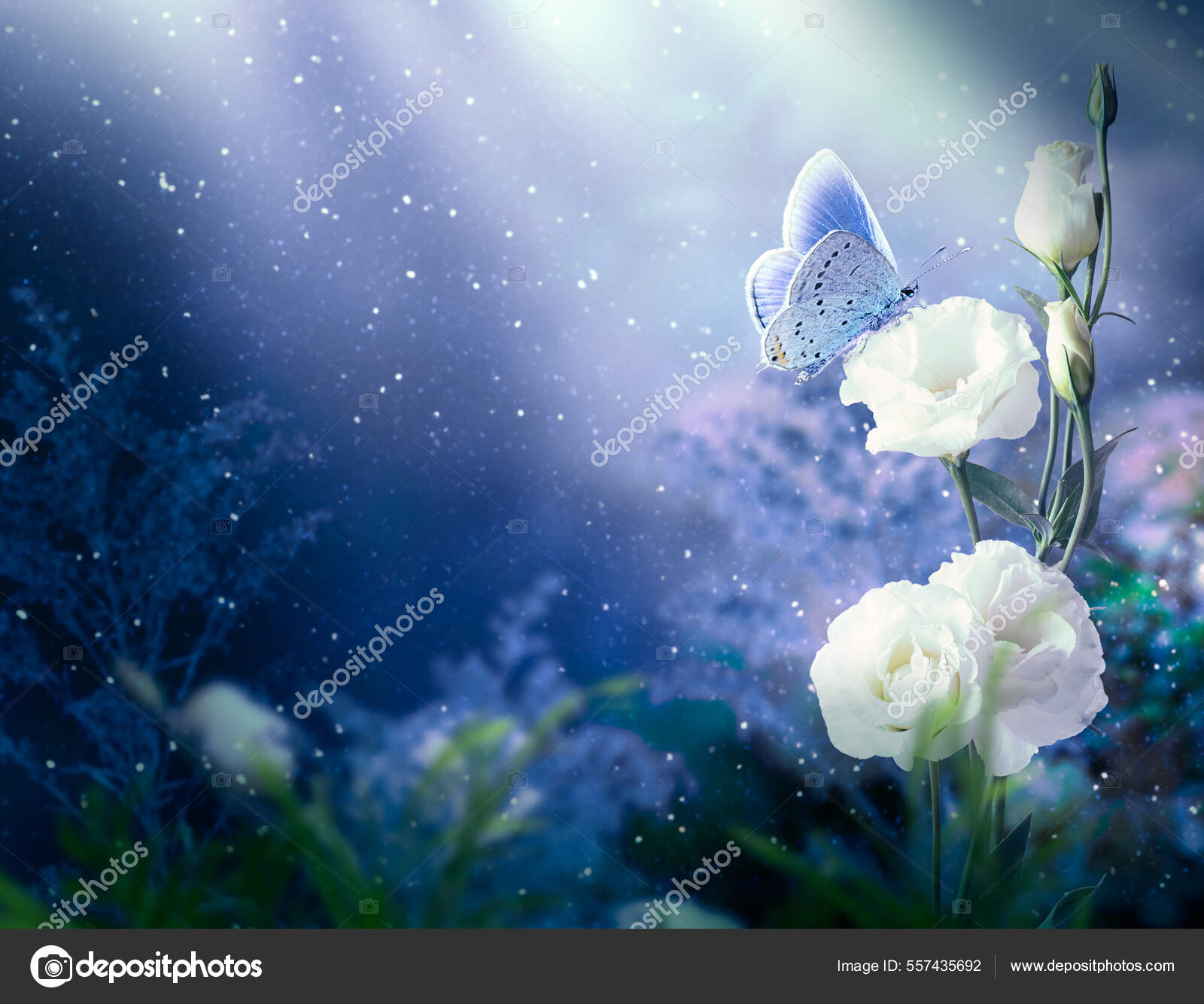 Magical Flower Garden