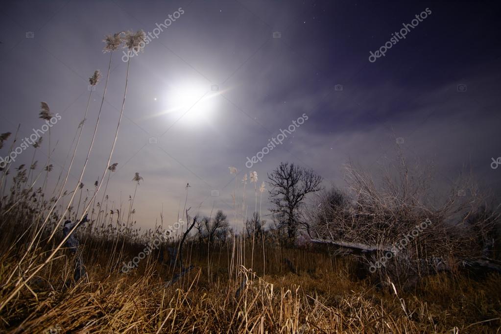 Full moon halo rays - night full moon landscape — Stock Photo © qliebin ...