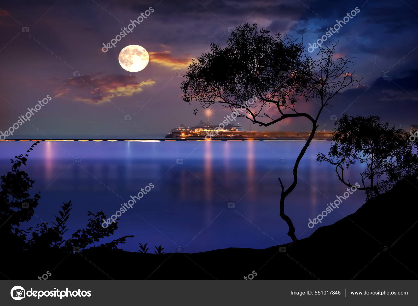 Blue Night Sky Harbor Plant Tree Silhouette Blurred Moonlight Light ...