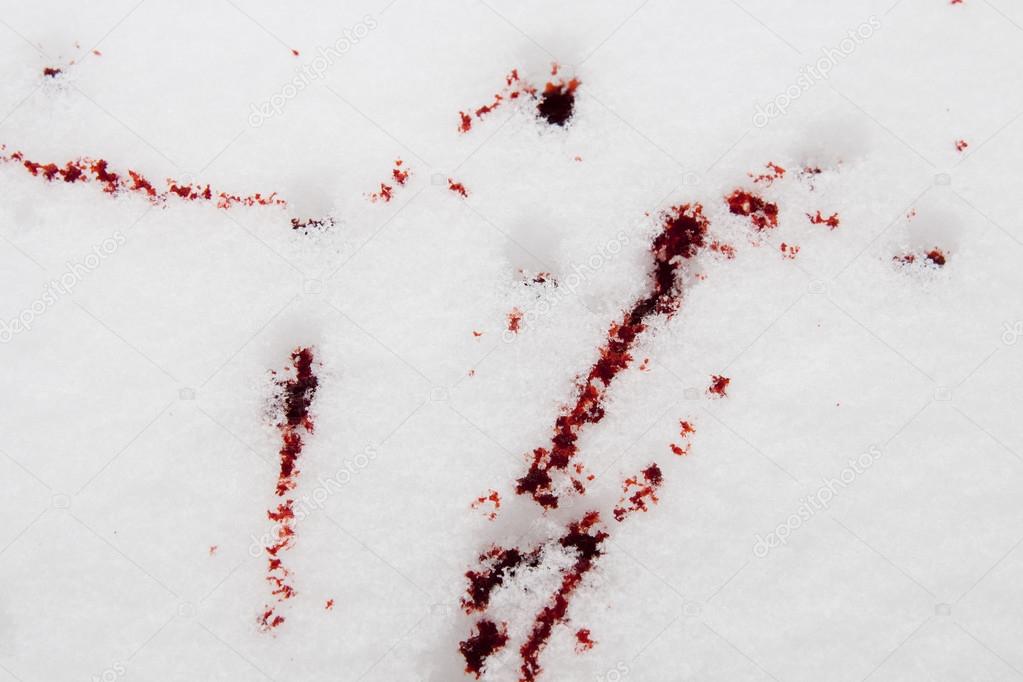 Blood Splatter In Snow