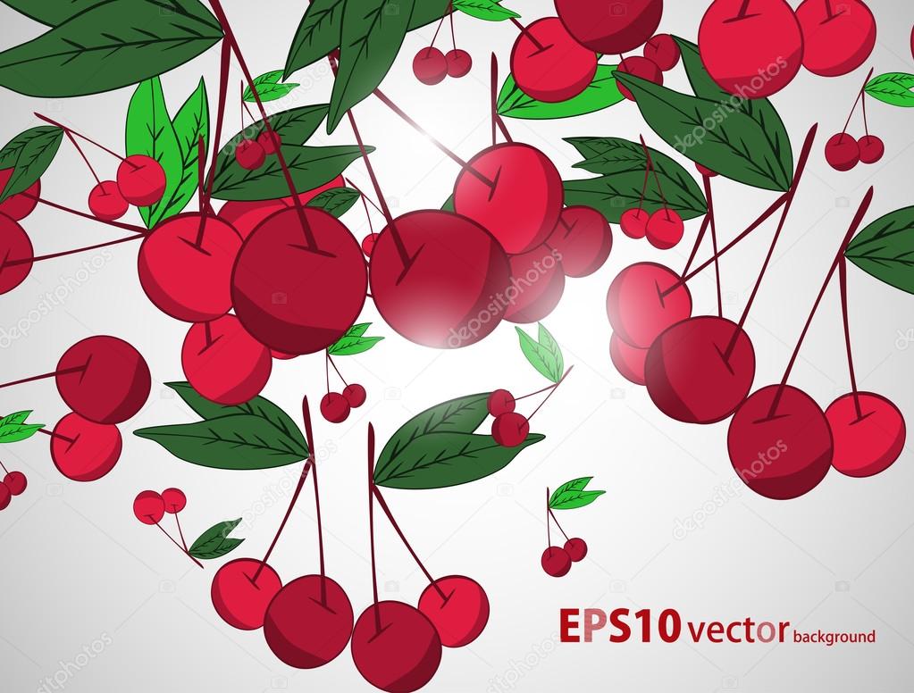 Cherry background Stock Vector Image by ©Ieromina #19574911