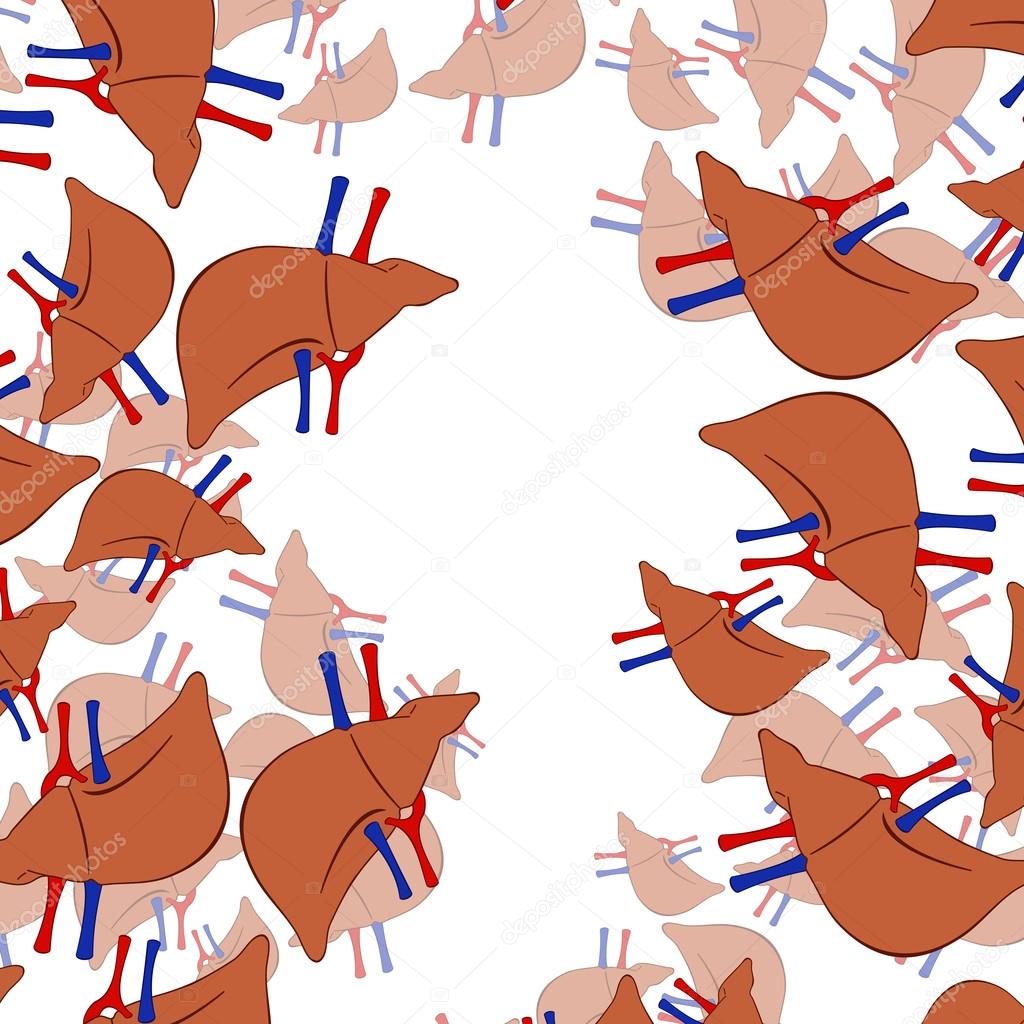Human liver background Stock Vector Image by ©Ieromina #20117783