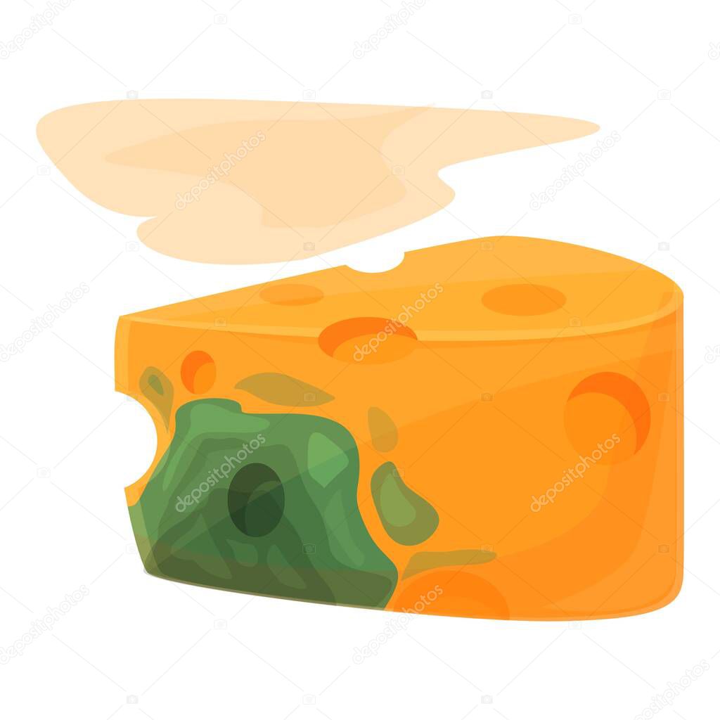 Icono de queso contaminado vector de dibujos animados. Bacterias 2024