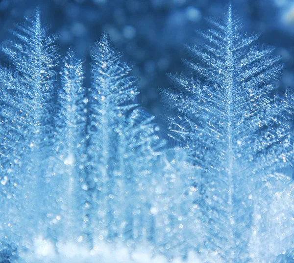 Ice forest Stock Photos, Royalty Free Ice forest Images | Depositphotos