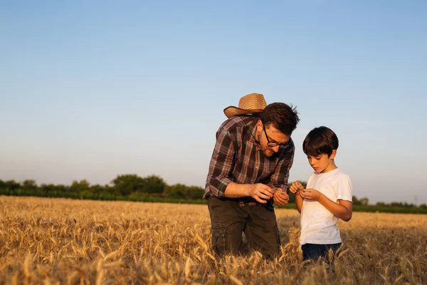 Father son farming Stock Photos, Royalty Free Father son farming Images ...