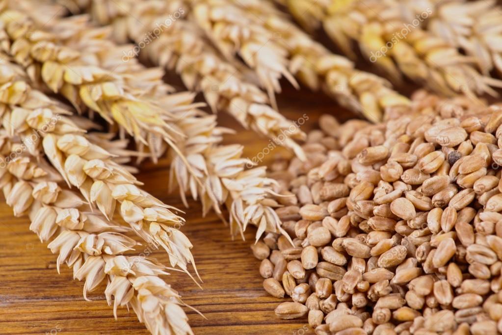 Weizenkörner — Stockfoto #18157537