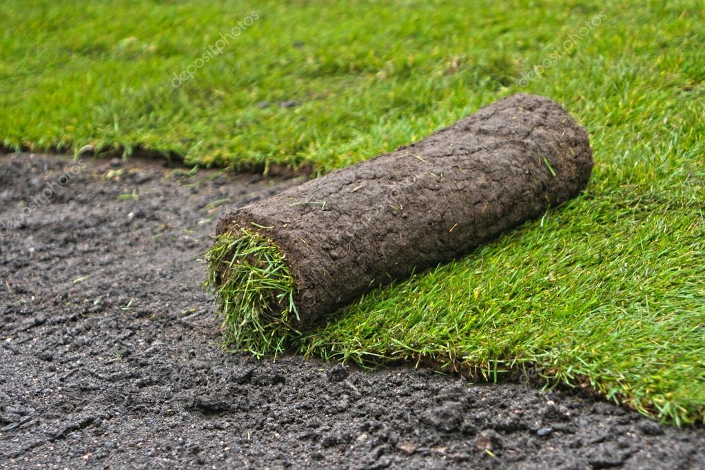 Rolling lawn — Stock Photo © Hopf23 #18283687