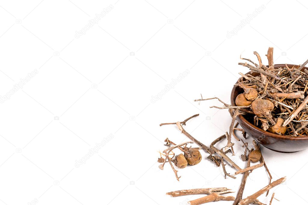 Xanthocarpum solanum es una hierba ayurvédica de la India también ...