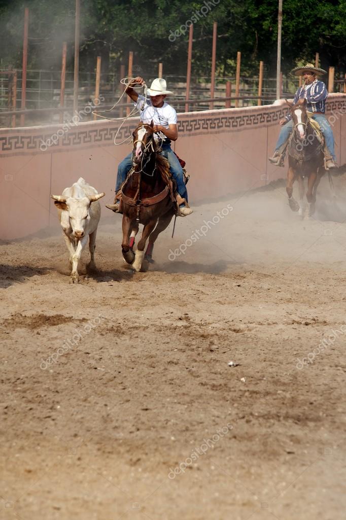 Mexican charros cowboy roping a bull, TX, US – Stock Editorial Photo ...